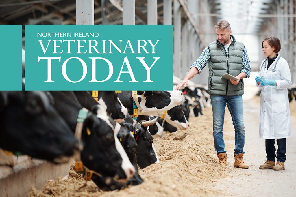 Northern Ireland Veterinary Today – pentonmediagroup.com